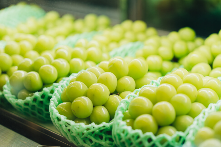 Grapes grown by farmers for farmers. Shimura Grape Research Institute ...
