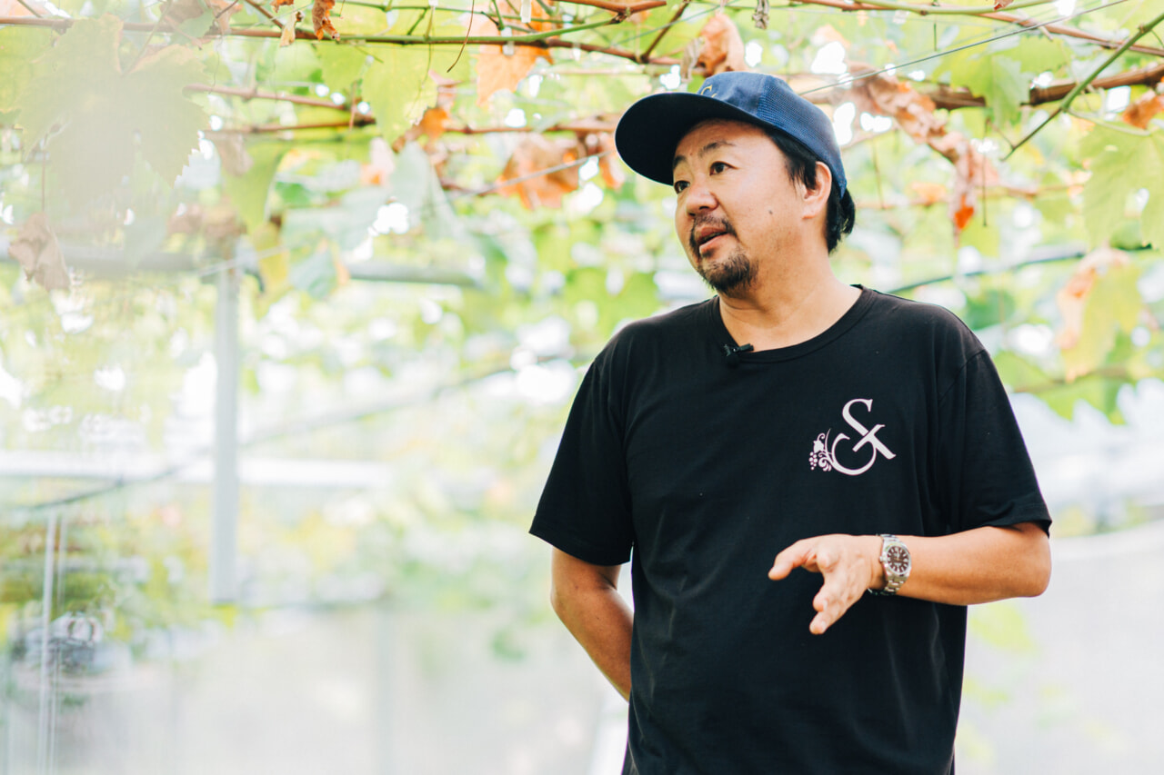 Grapes grown by farmers for farmers. Shimura Grape Research Institute ...