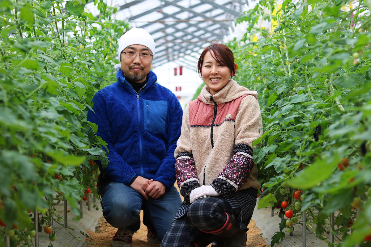 The rich sweetness of “Echigo-Tsumari Fruit Tomatoes” grown in fertile ...