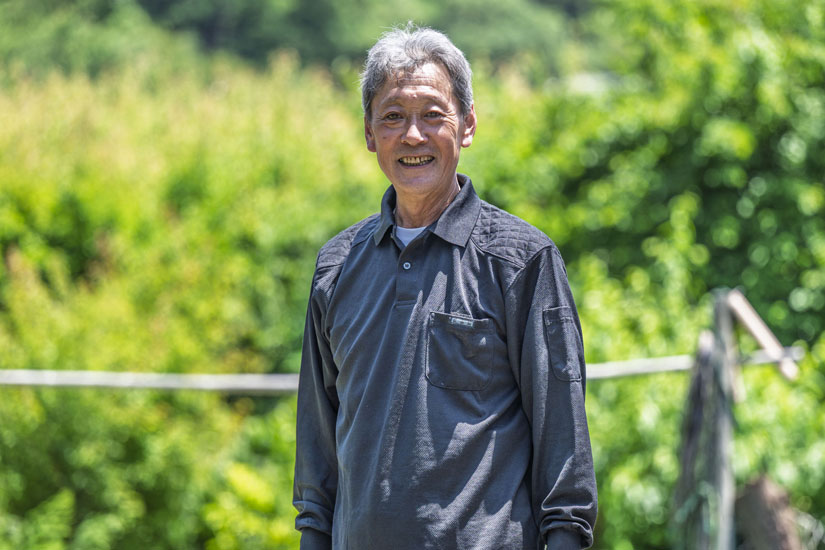 Consecutive recipient of the Governor’s Award. Juro Umeboshi made by ...