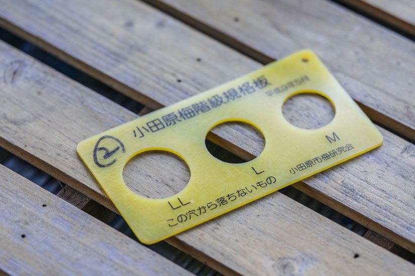 Consecutive recipient of the Governor’s Award. Juro Umeboshi made by ...